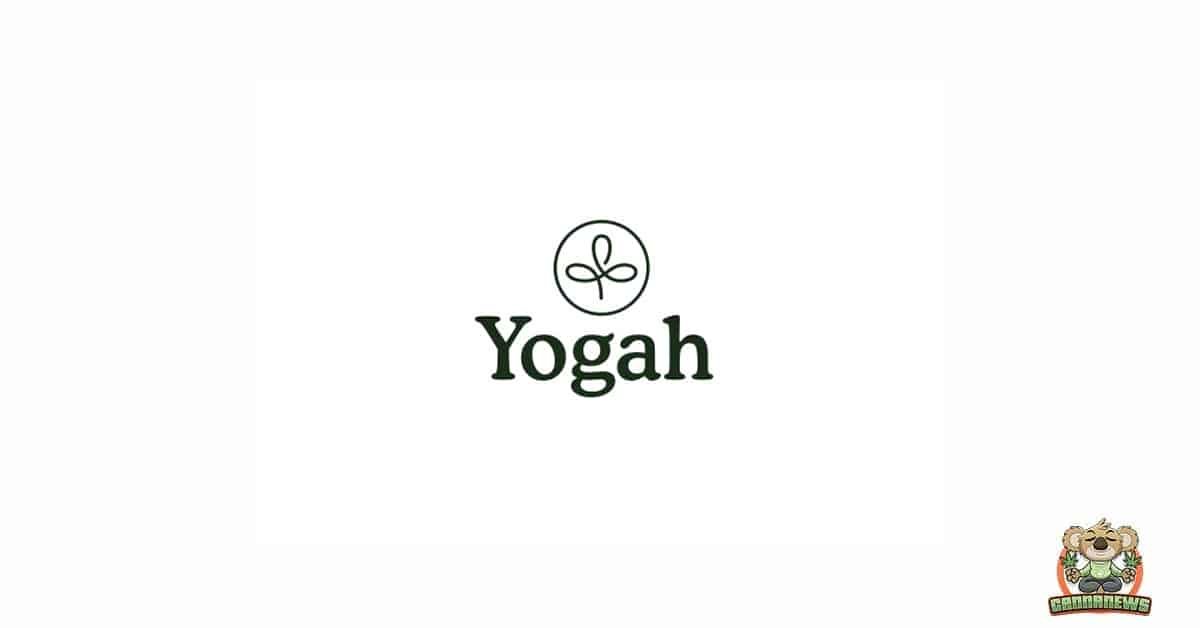 Yogah : Code Promo -20% & Avis Yogah 2025 complet